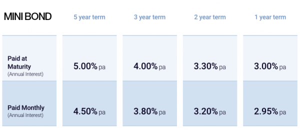 Peer To Peer Mini Bonds - Should You Invest In This High Risk Product?